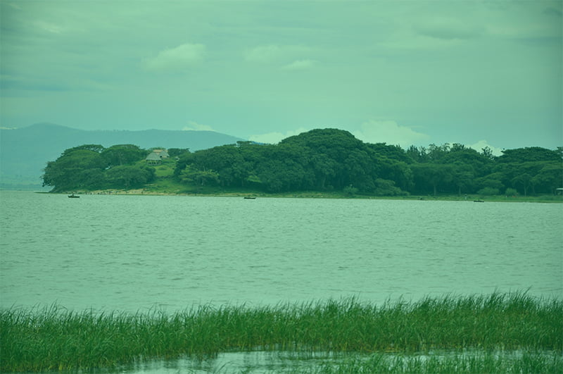 Image Gallery Sidama Development Association image-gallery-sidama-development-association